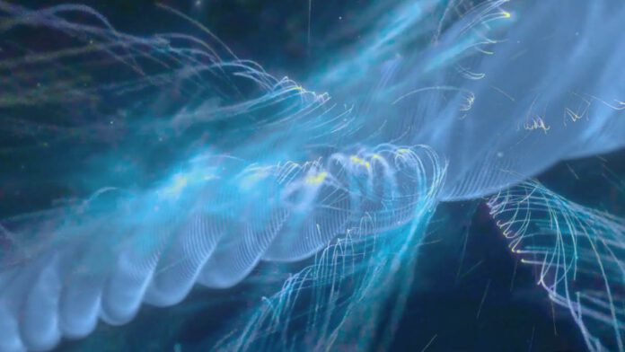 FIBER ROPES – Innovation by KV R&D | verope